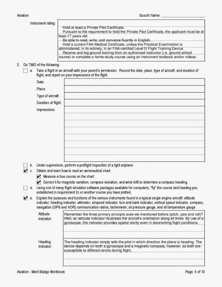 Camping Merit Badge Workbook: A Comprehensive Guide & Free Resources