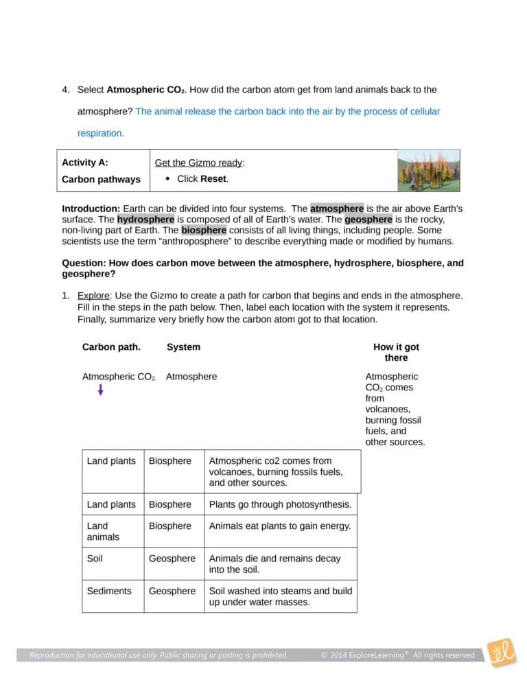 Carbon Cycle Gizmo Answer Key: ExploreLearning Guide with Explained ...