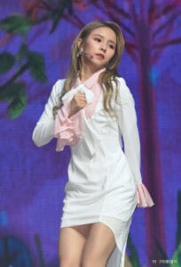 A Comprehensive Guide to CLC Licensing in England and Wales ...