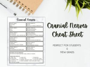 Mastering Cranial Nerves: Clean & Dirty Mnemonics Compared