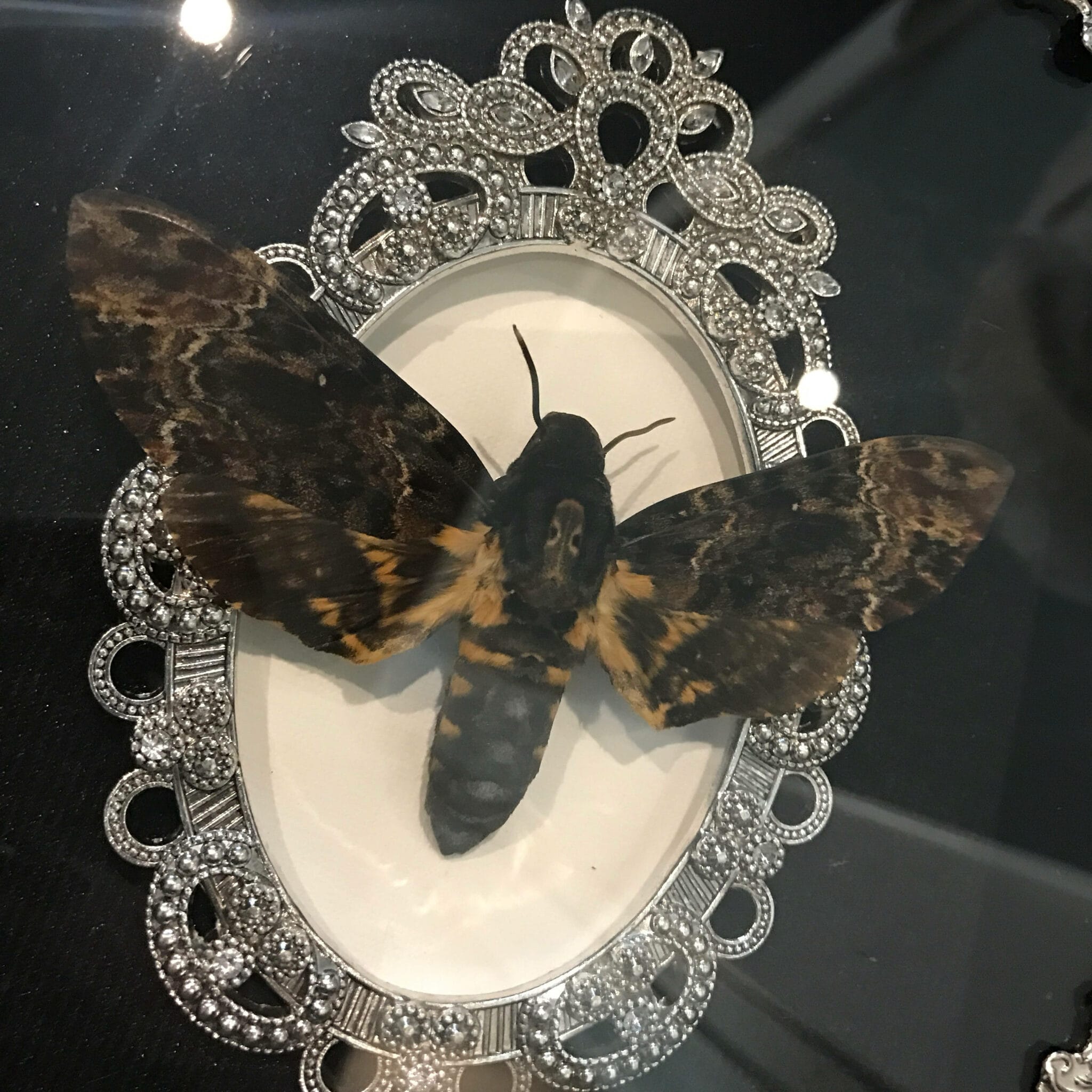 A Comprehensive Perfume History Timeline: Tracing the Evolution of ...