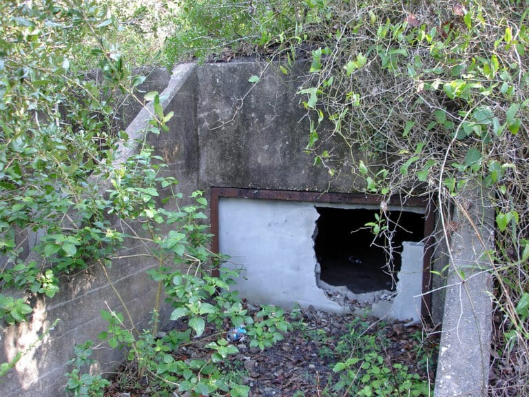 Exploring the Ruins of Fort McRee: A Journey Through Time on Perdido Key