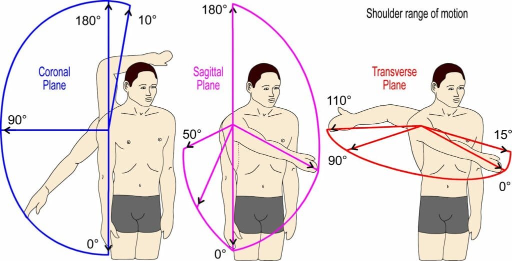 Unlocking the Gallbladder Meridian: Your Guide to TCM Insights ...