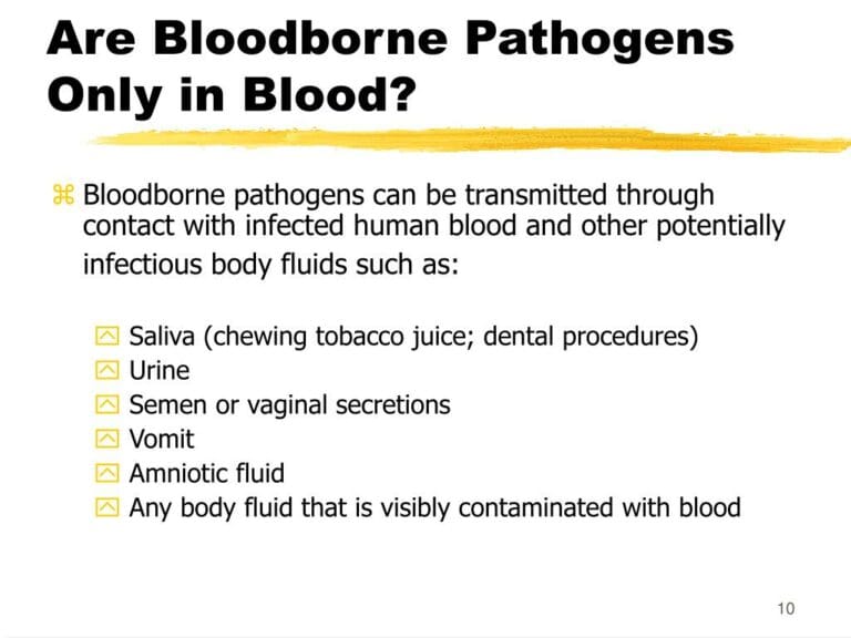 How Long Do Bloodborne Pathogens Survive on Surfaces: A Guide to ...
