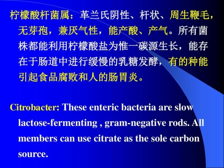 Lactose-Fermenting Gram-Negative Rods: A Clinical and Diagnostic Overview
