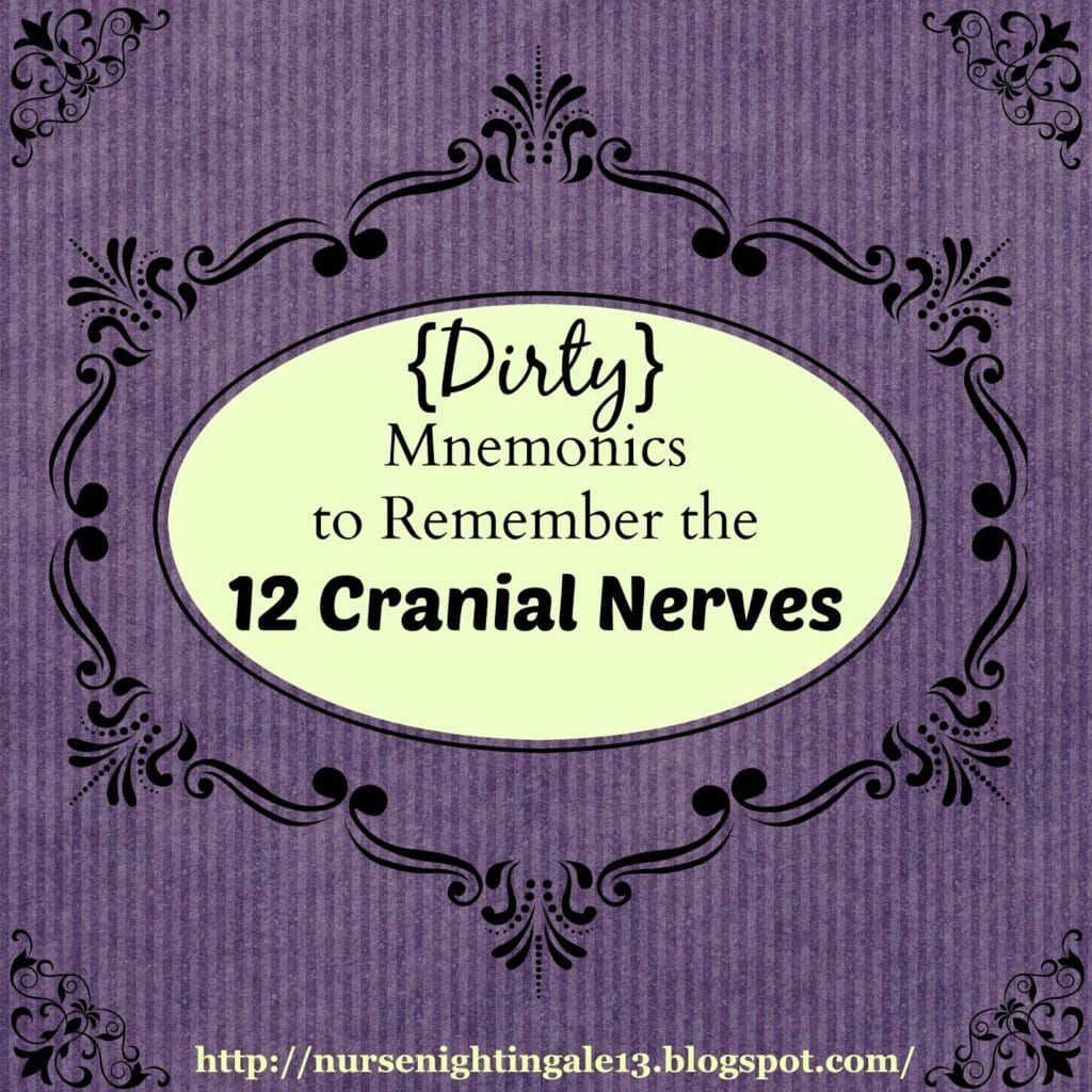 Dirty Cranial Nerve Mnemonics: The Easiest Way to Remember (Plus Clean ...