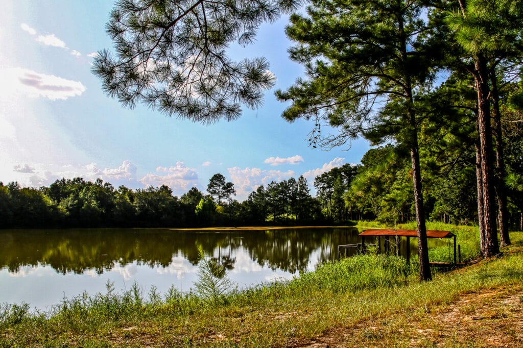 Ochlocknee, GA: Discover Southern Charm and Small-Town Delights