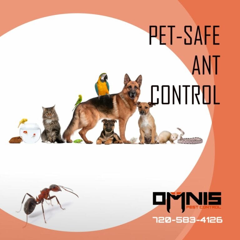 Safe & Effective Ant Control: Protecting Your Pets and Home