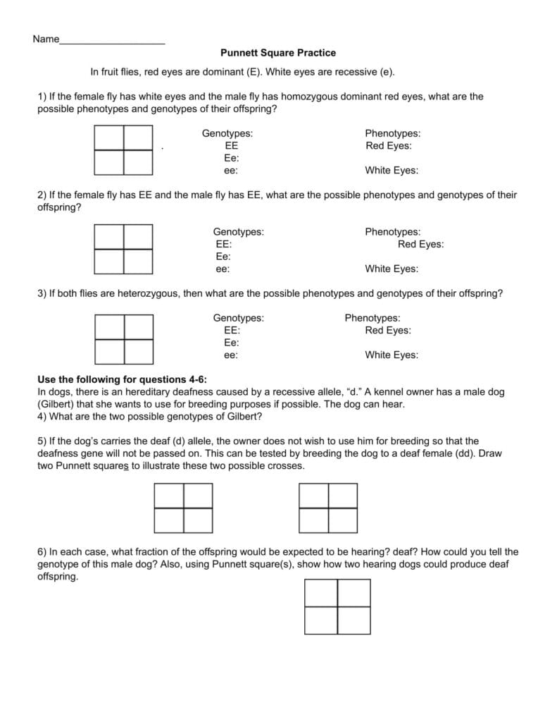 Free Printable Punnett Square Practice Worksheets: Your Guide to ...