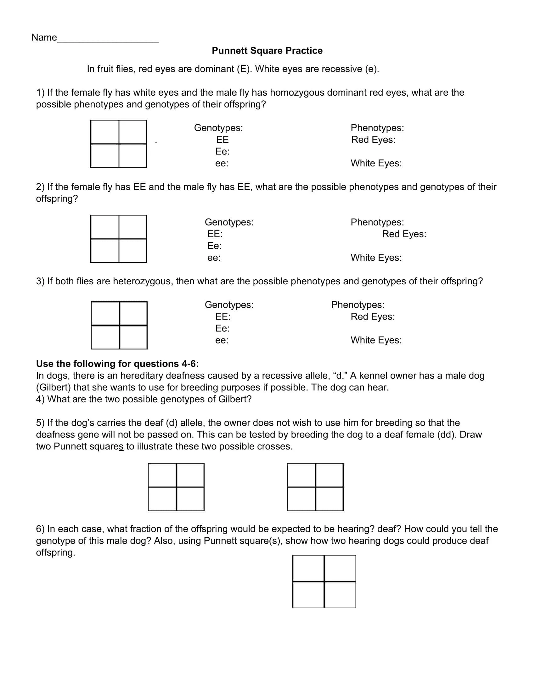 Mendelian Genetics Worksheet