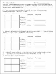 The Ultimate Guide to Free Punnett Square Worksheets: From Beginner to ...