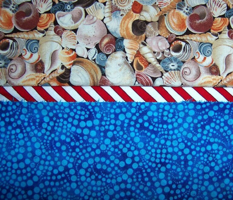Sally Sells Seashells: Unraveling the Rhyme, the Tongue Twister, and ...