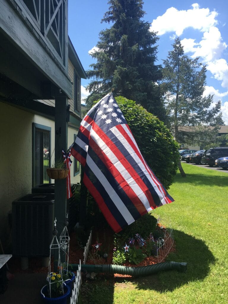 The Serapis Flag: John Paul Jones, a Controversial Ensign, and the Birth of American Naval Identity