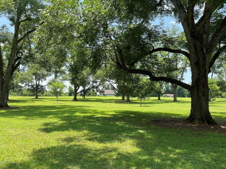 Shellman, Georgia: A Small Town's Story of Heritage, Hardship, and Hope