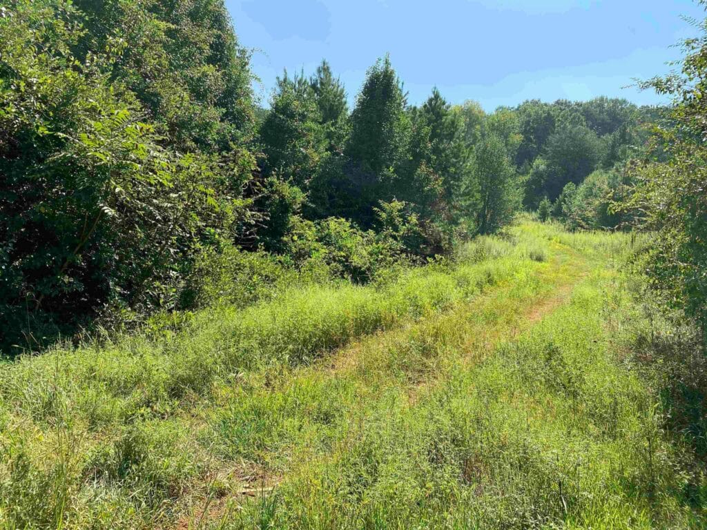 Wellford, SC: A Comprehensive Guide to Spartanburg County's Growing Town