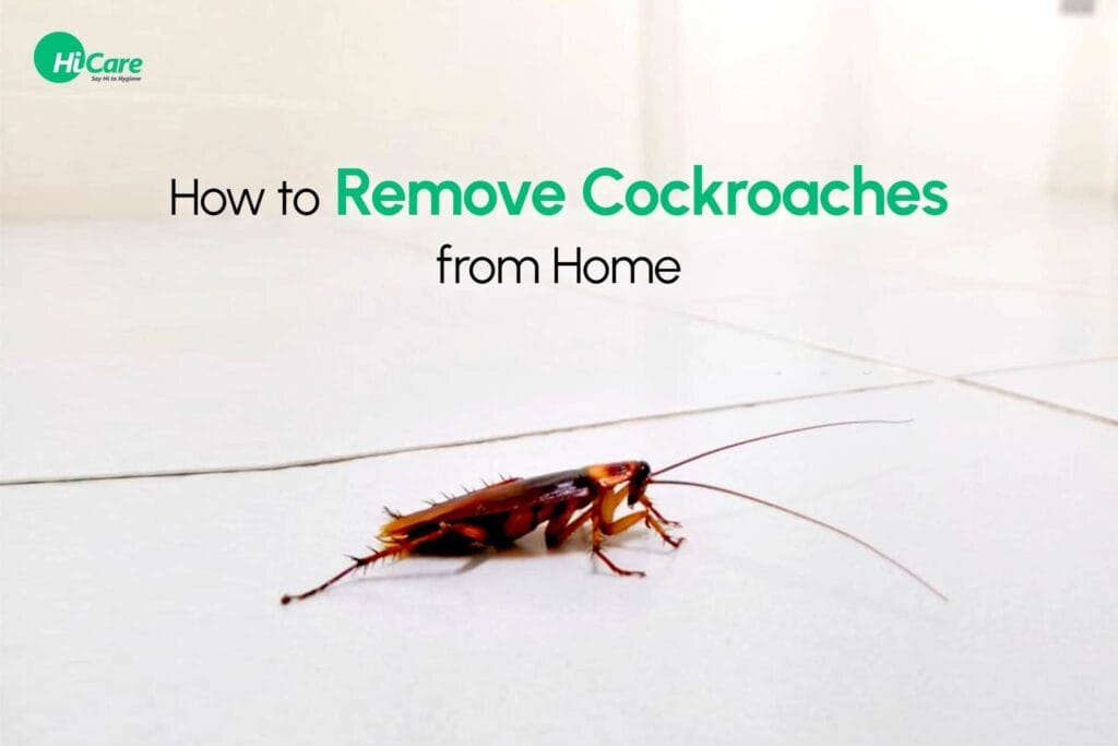 What Repels Roaches Naturally: Effective DIY Solutions & Proven Strategies