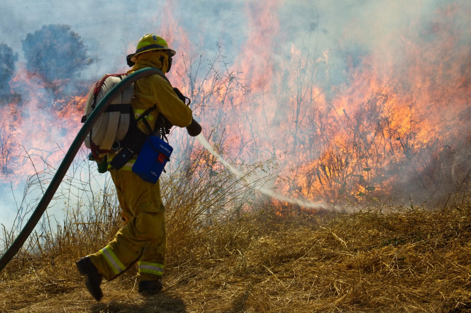 Wildland Fire Learning Portal 2024: Accessing Essential Training ...