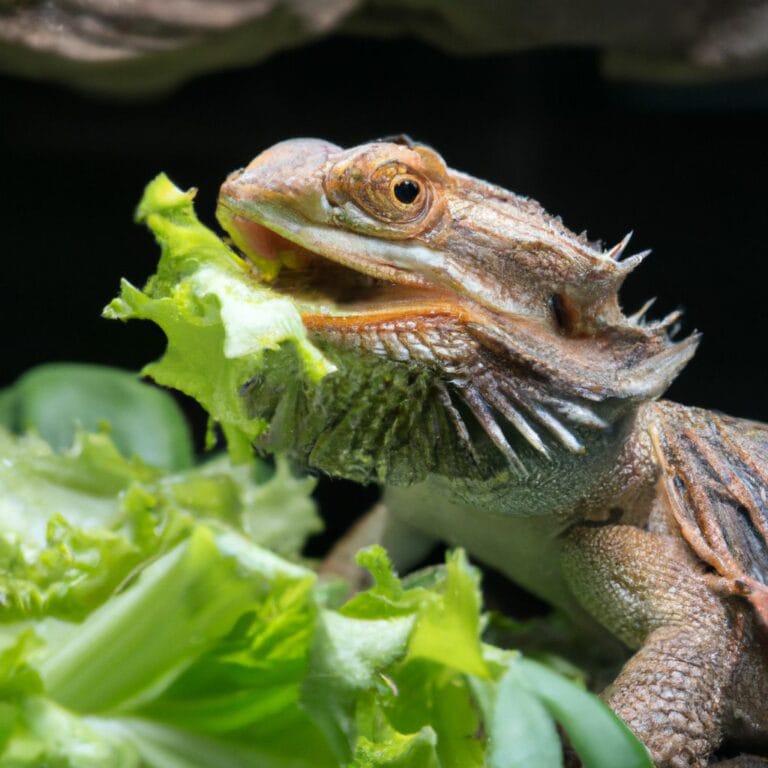 Can Bearded Dragons Eat Lettuce? The Truth About Leafy Greens & Your Dragon