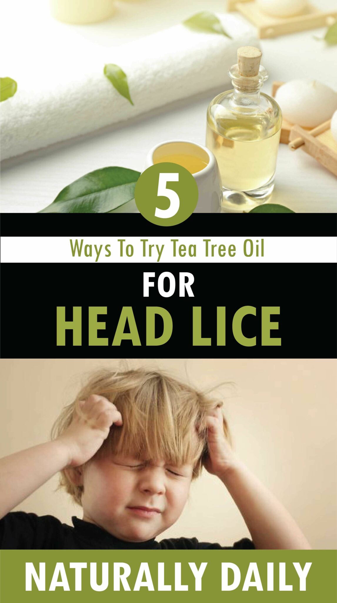 Tea Tree Oil for Lice: Does it Really Work on Nits and Lice?