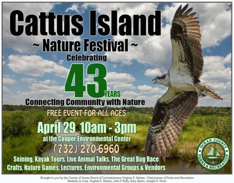 Discover the Natural Wonders of Cattus Island County Park: Trails, Wildlife, and Bay Views