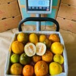 Dosakai: A Complete Guide From Garden to Plate (Recipes & Growing Tips)