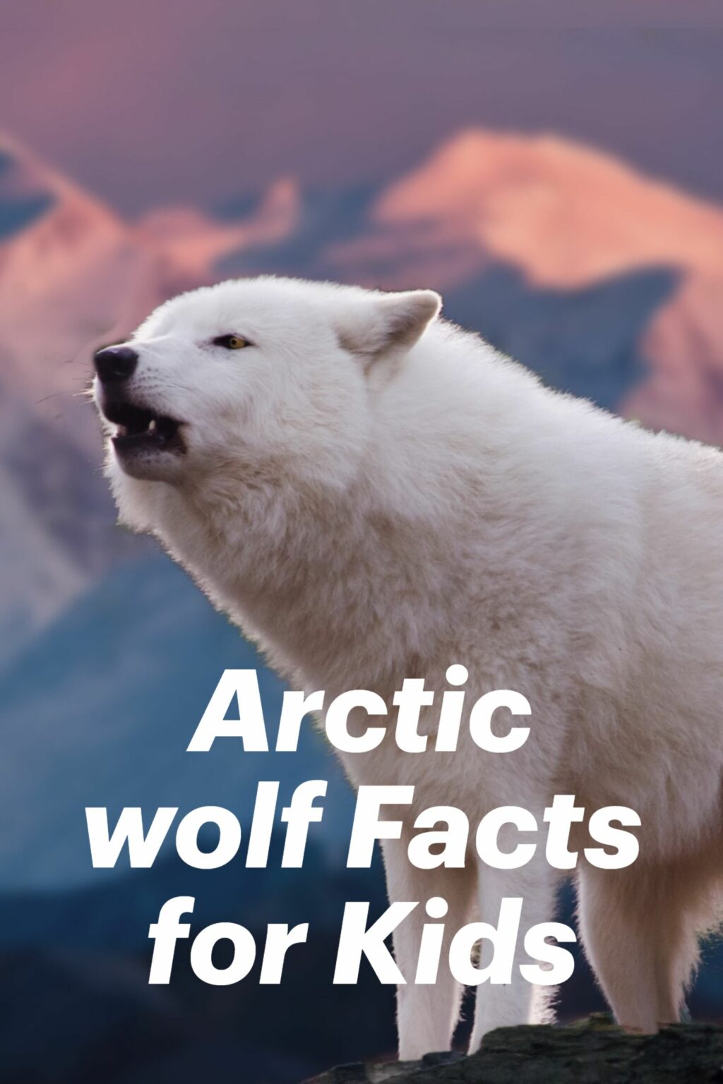 40 Fascinating Facts About Arctic Wolves: Discover the Icy World of ...