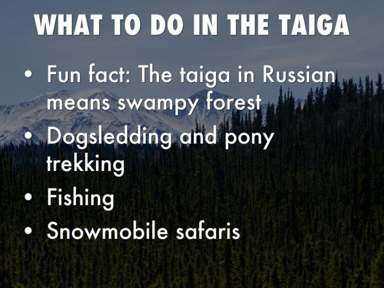 Taiga Biome: 50+ Fascinating Facts, Wildlife, Climate Change Impacts ...