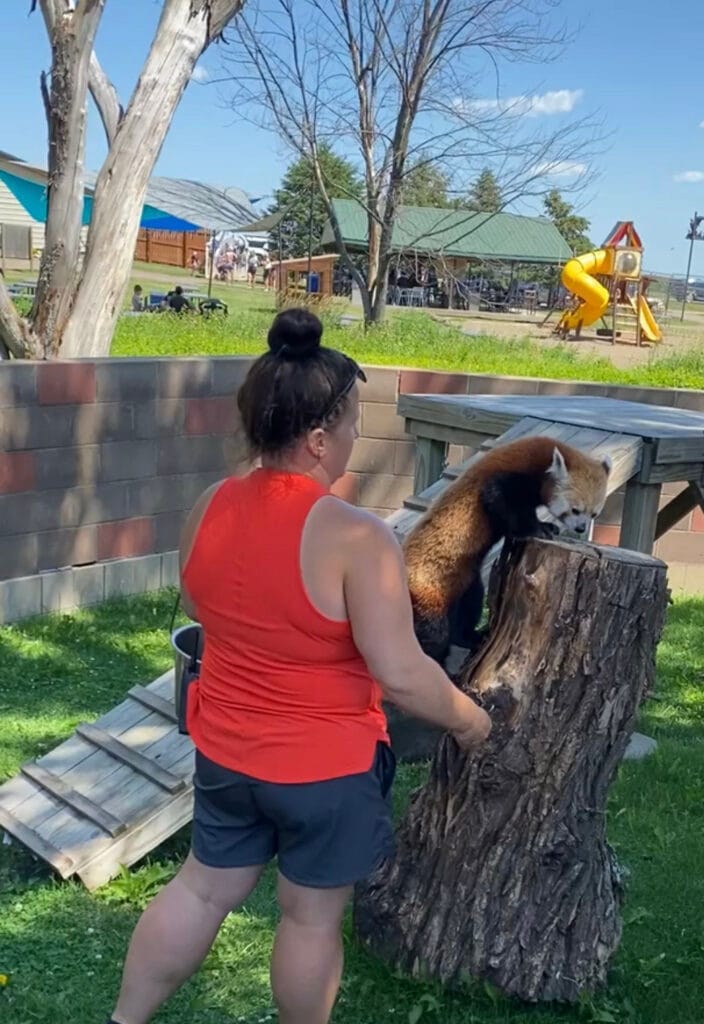 Hemker Park & Zoo: A Family-Friendly Wildlife Adventure with ...