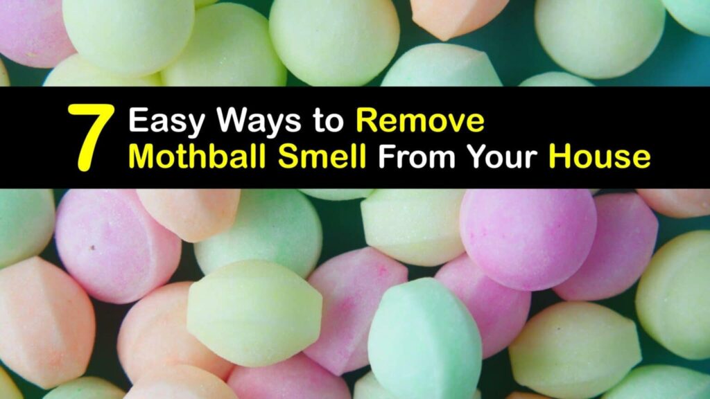 Banish Mothball Odor: Effective Methods for Clothes, Furniture & Your Home