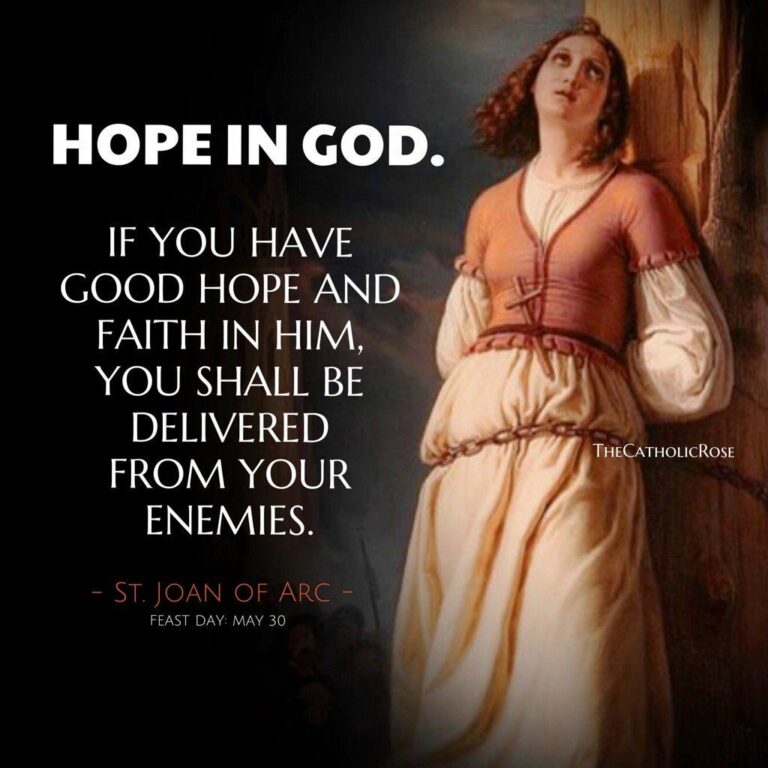 14,500 Feet and a Swarm of Hope: The Joan Murray Skydiver Survival Story