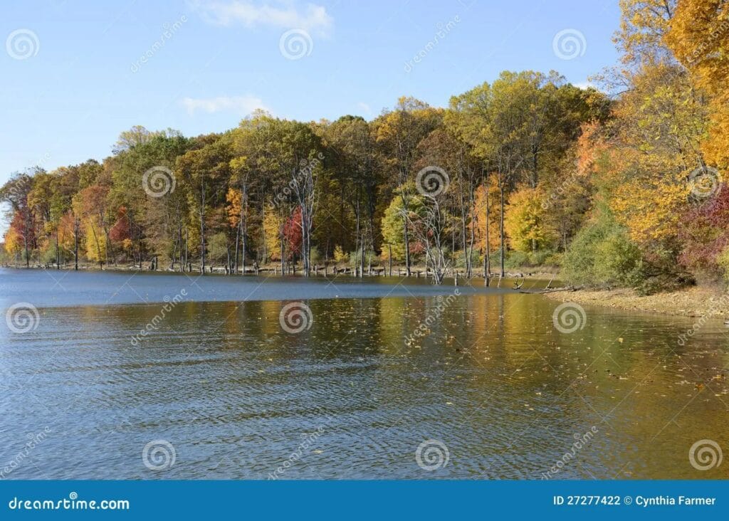Merrill Creek Reservoir NJ: Fishing, Hiking & More
