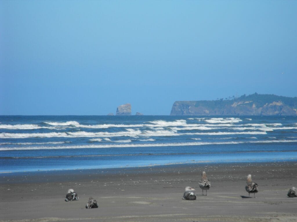 Moclips, Washington: Your Guide to Beaches, Adventures, and Coastal Charm
