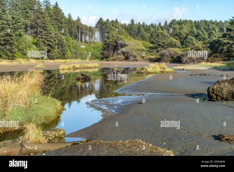 Moclips, Washington: Discover the Coastal Charm of this Pacific ...