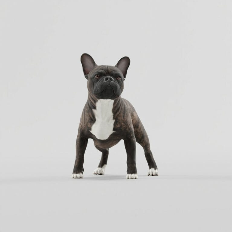 Parisian Ratters: Unmasking the Ancestry of the French Bulldog