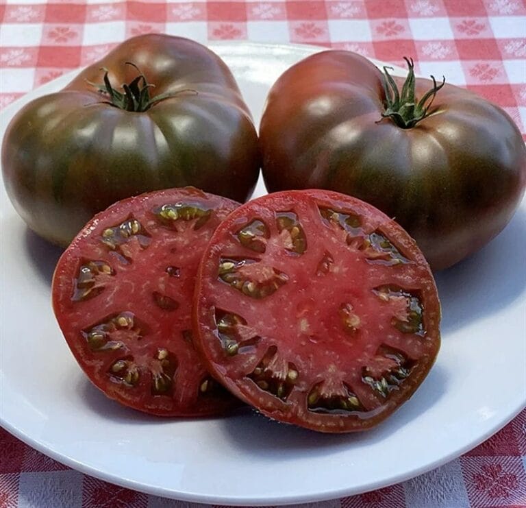Growing the Paul Robeson Tomato: History, Flavor, and Gardening Guide