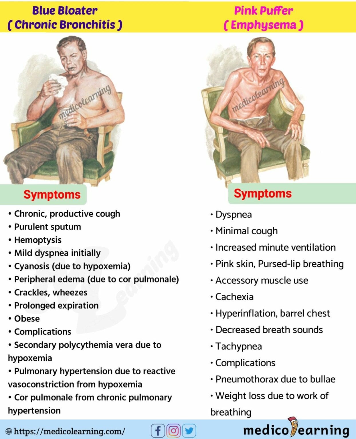 Understanding COPD: Beyond “Pink Puffers” and “Blue Bloaters”