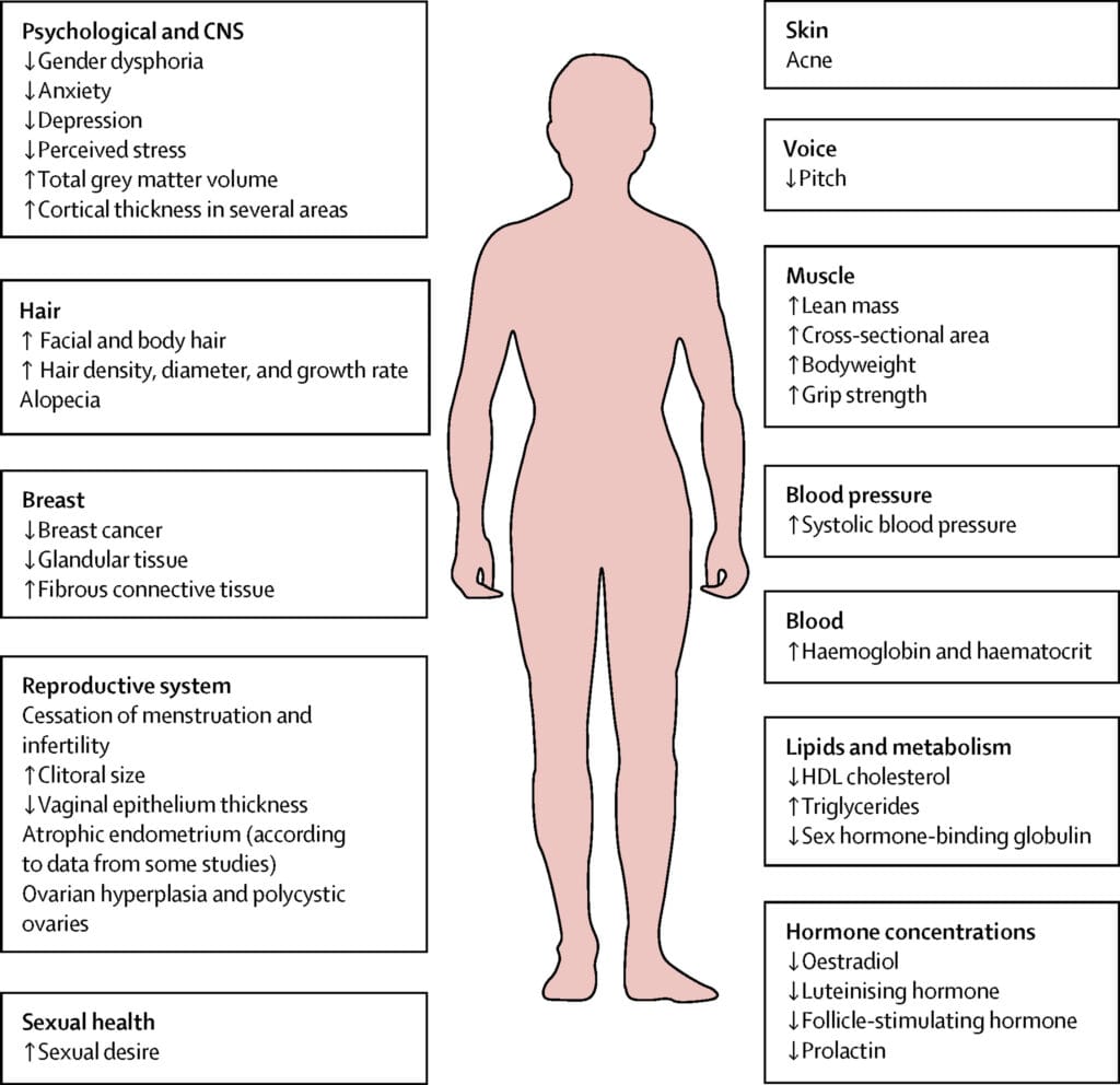 Testosterone Pellets for Women: Understanding the Risks and Side Effects