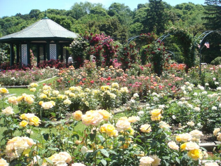 Thornden Park: Syracuse's Urban Oasis – History, Beauty, and Hidden Gems