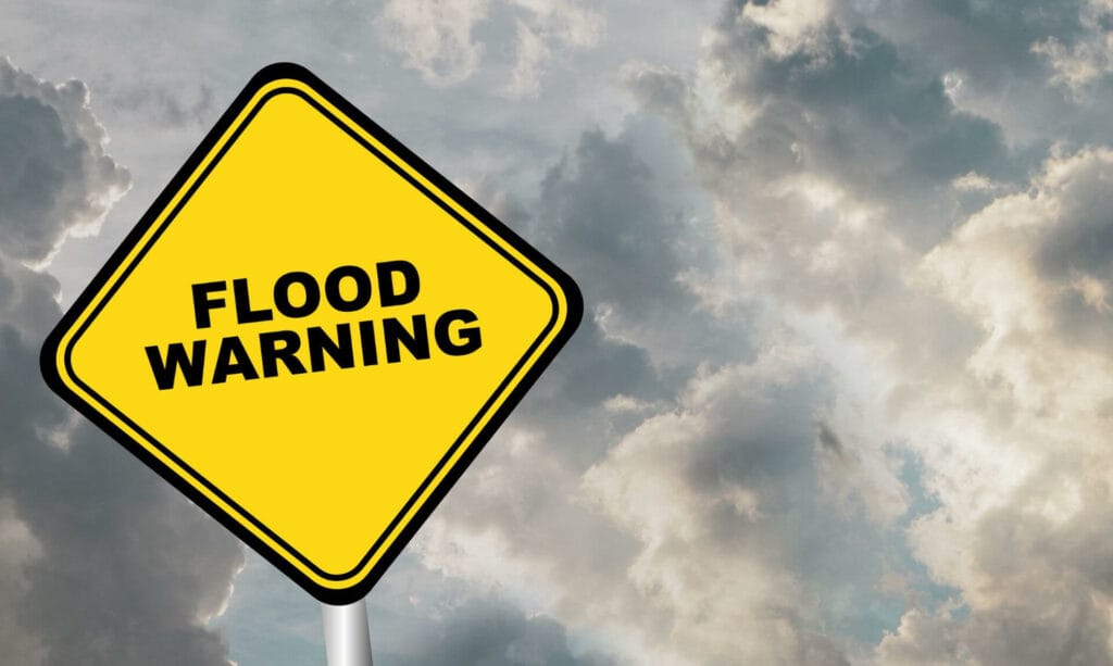 What is Plutophobia? Understanding the Fear of Wealth