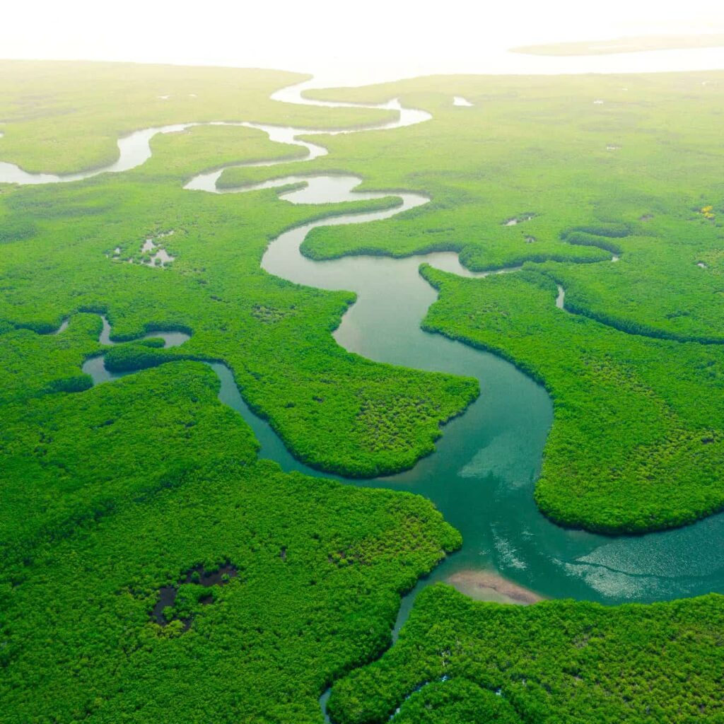 What Is the Widest River in the World? (And Why It's Not So Simple)