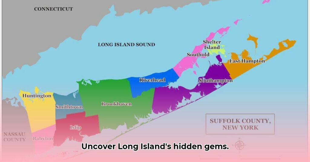Explore Long Island's Map: Unique Regions & Insights