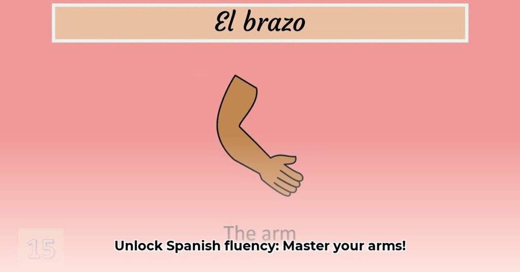 Mastering Arms in Spanish: The Ultimate Guide