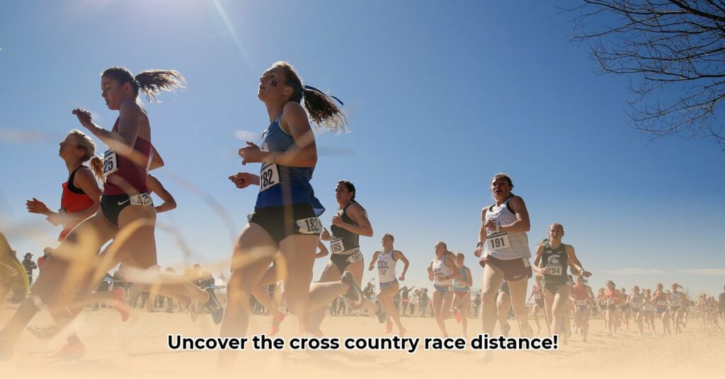 How Long Is a Cross Country Race? A Complete Guide