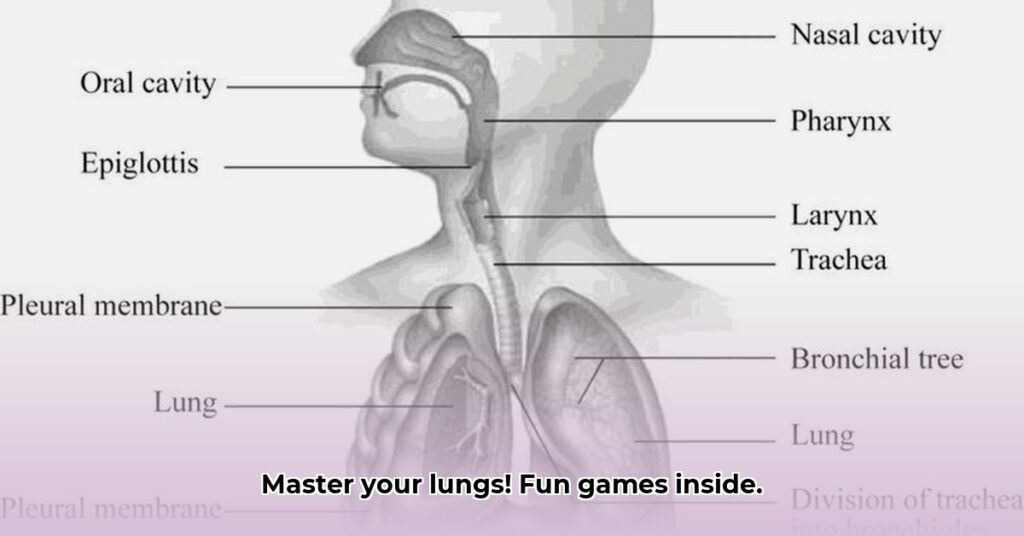 Master Respiratory System Labeling: Fun Games for Kids