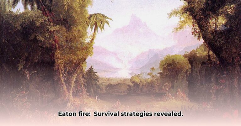 Eaton Fire Lessons: Urgent Recovery & Resilience Strategies