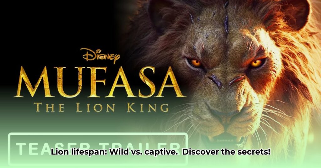 How Long Can a Lion Live? Lifespan Secrets Revealed: Wild vs. Captive