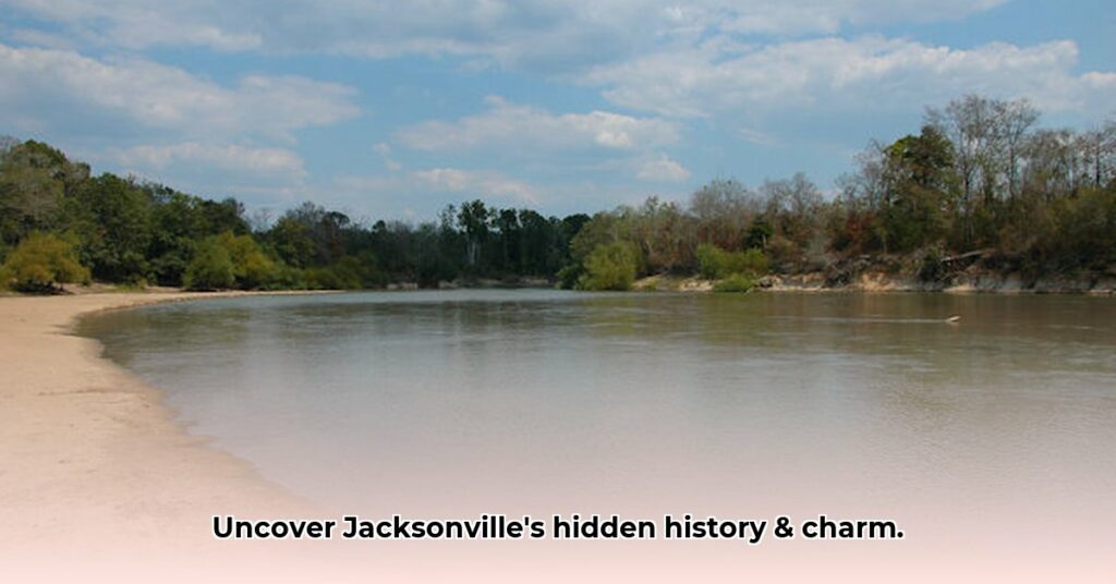 Discover Jacksonville GA: History & Charm