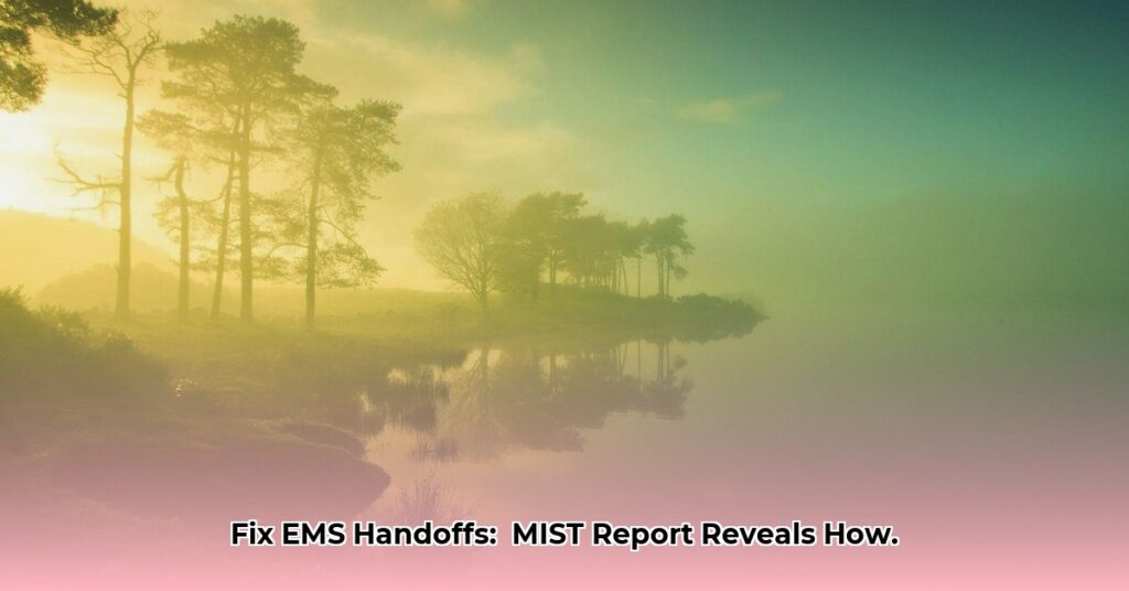 MIST Report: Improve EMS Handoffs Now
