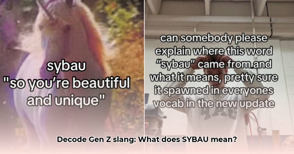 What does SYBAU mean on Instagram: A Gen Z Slang Decoder