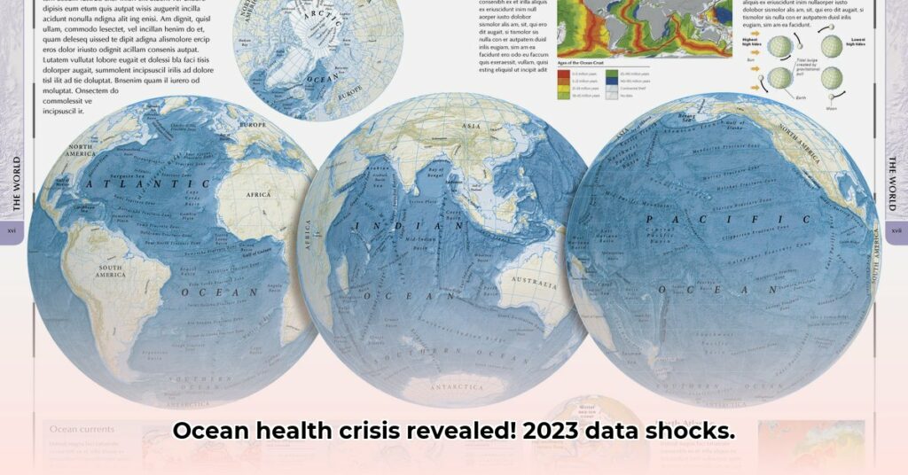 Unlock World Ocean Atlas Insights: 2023 Data Reveals Ocean Health Trends